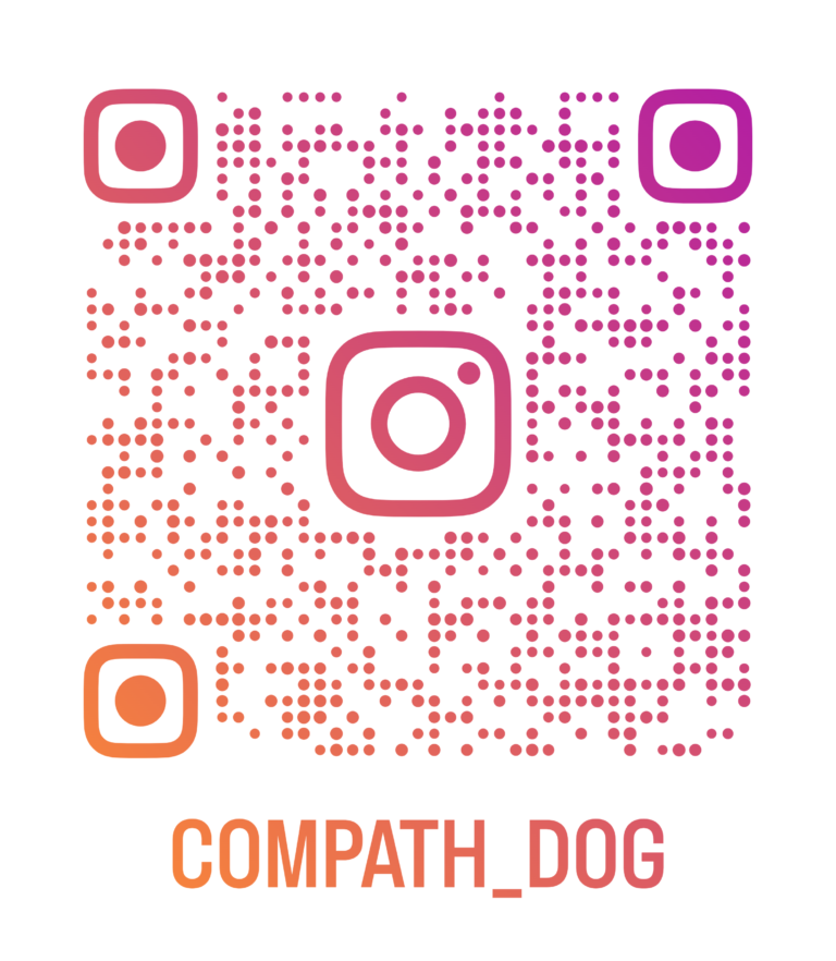 ComPath -Dog Space- | 【越谷近郊】愛犬と飼い主さまのためのしつけ方教室
