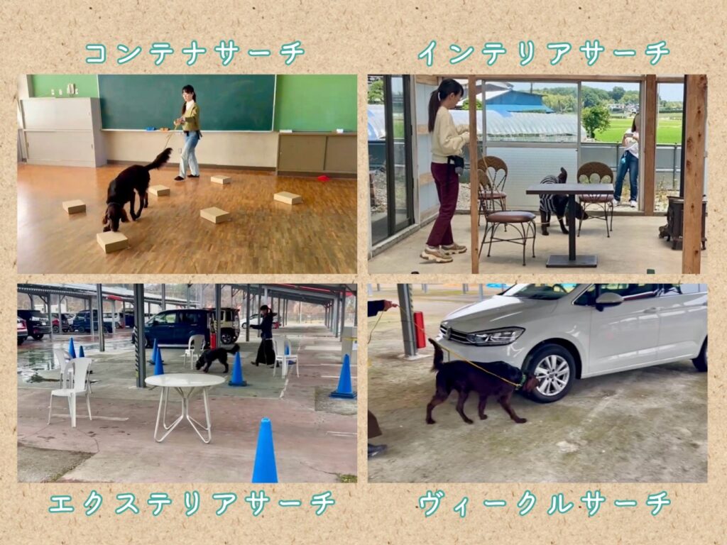 ノーズワーククラス | ComPath -Dog Space-