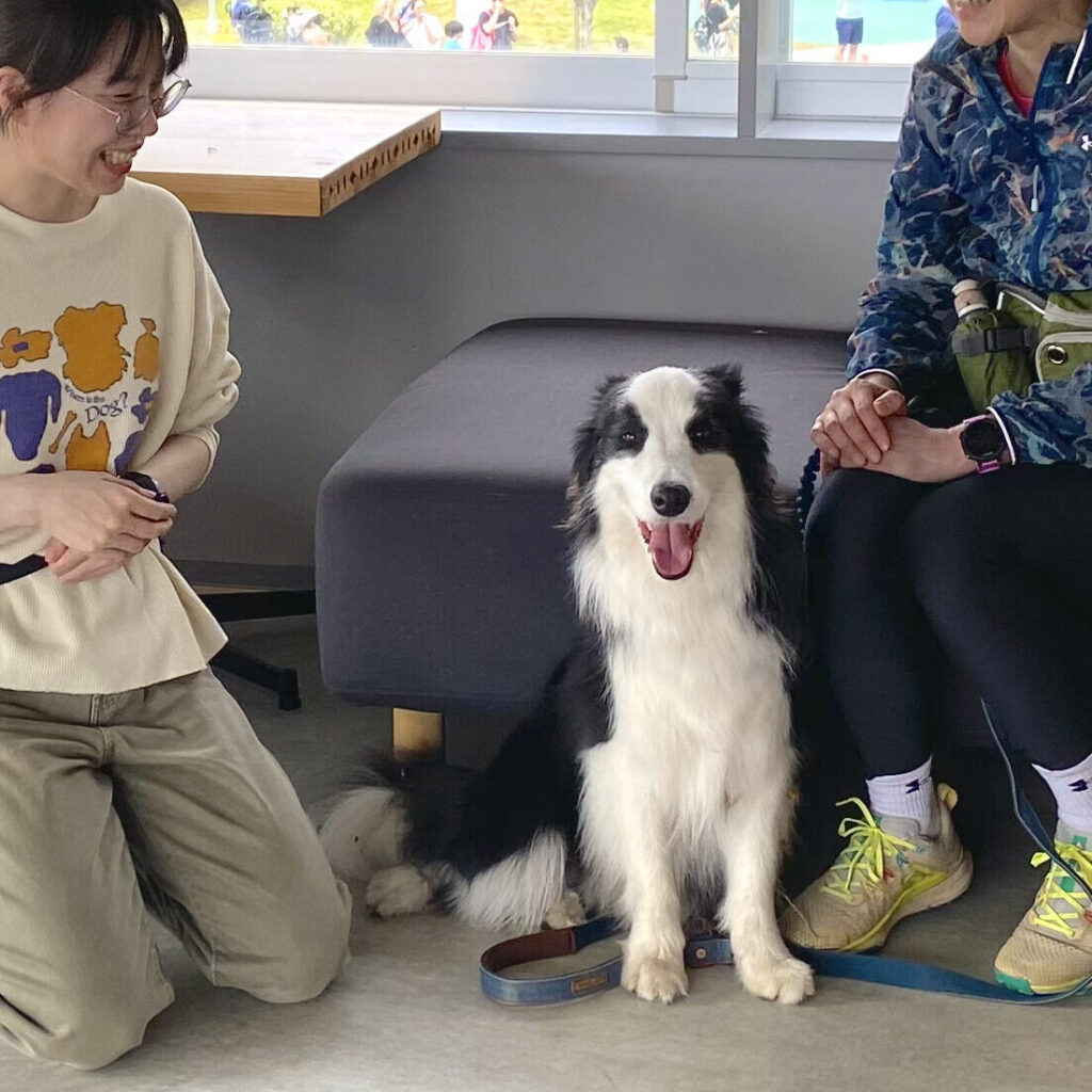 ノーズワークについて | ComPath -Dog Space-